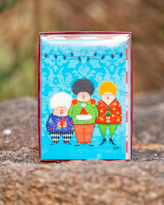 Leanin' Tree Assorted Boxed Christmas Cards | University Store