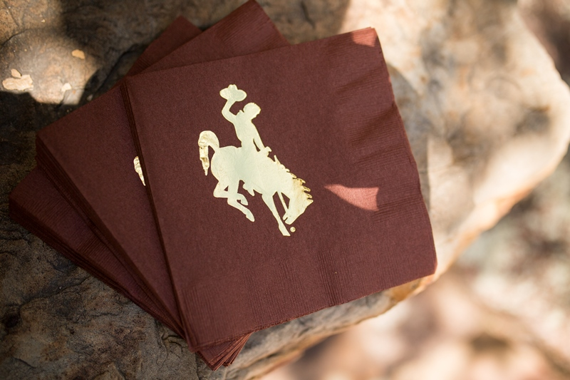 Spirit Products Ltd. Bucking Horse Napkins | University Store